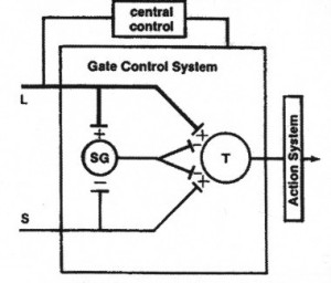 The Gate Control Theory: | KINESIOPATIA