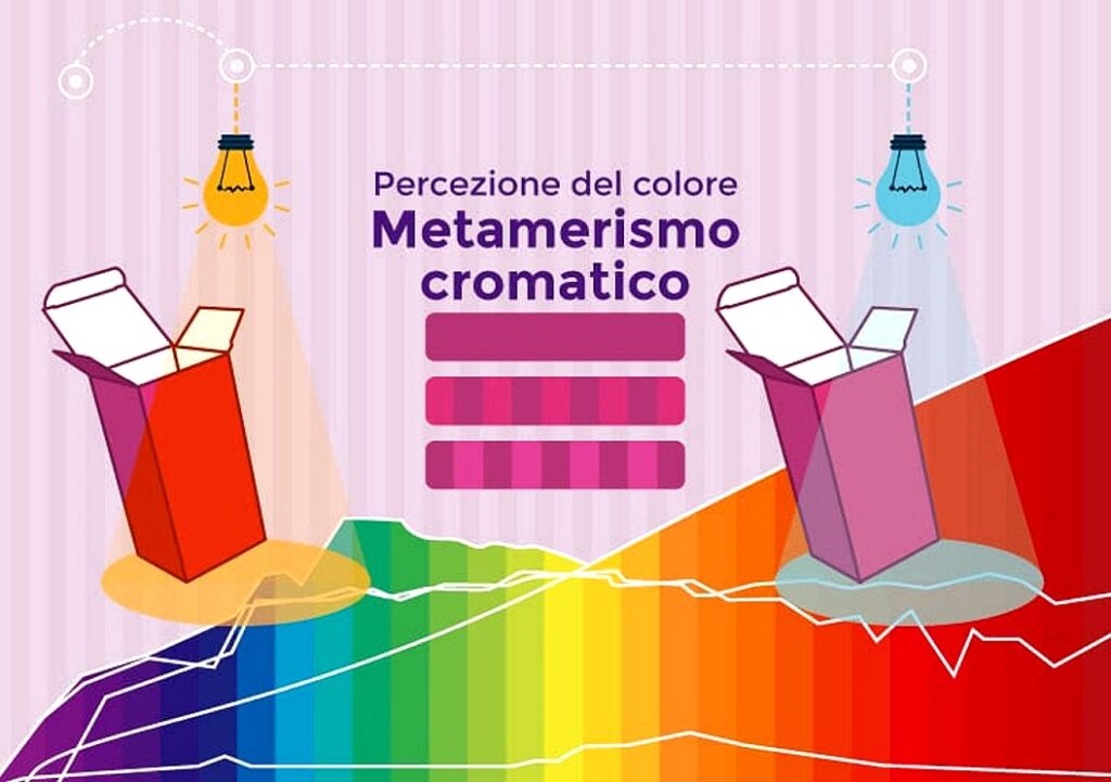 metamerismo | KINESIOPATIA