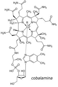 cobalamina – per conoscere ciò che ci nutre