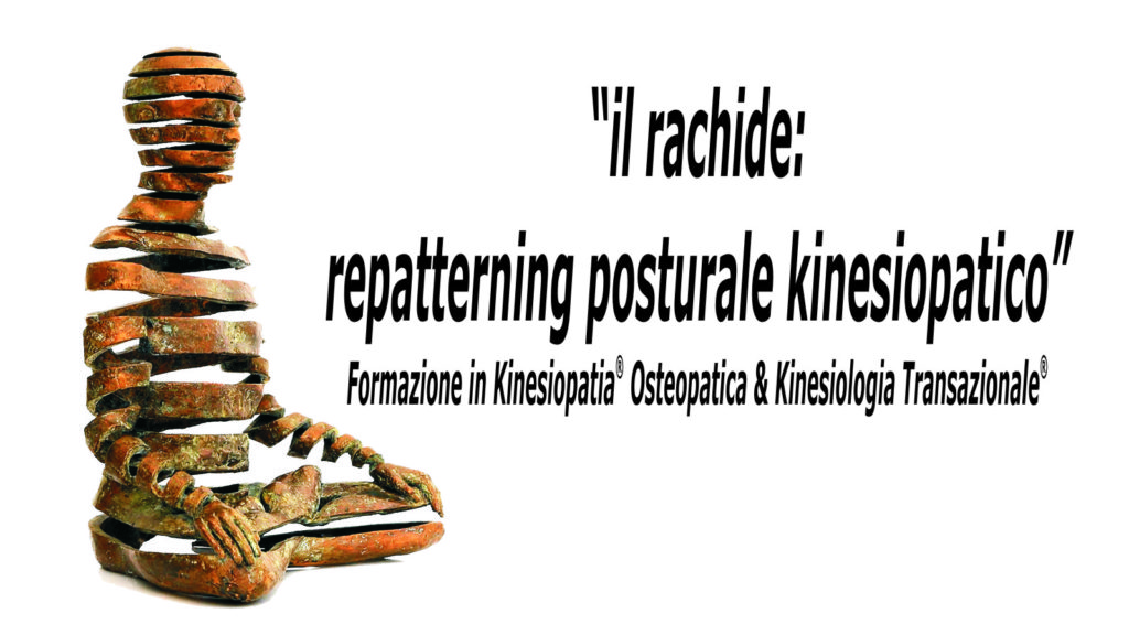 il rachide: repatterning posturale kinesiopatico | KINESIOPATIA