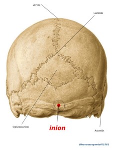 inion | KINESIOPATIA