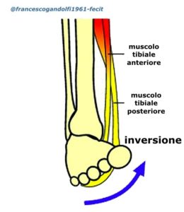 inversione | KINESIOPATIA