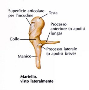 martello | KINESIOPATIA