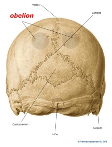 obelion | KINESIOPATIA