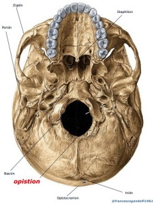 opistion | KINESIOPATIA