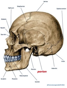 porion | KINESIOPATIA